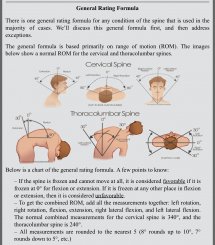 Spine Flexion Degrees
