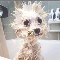 Understand The MEB/PEB Process (Plus Timelines) | Physical Evaluation ...